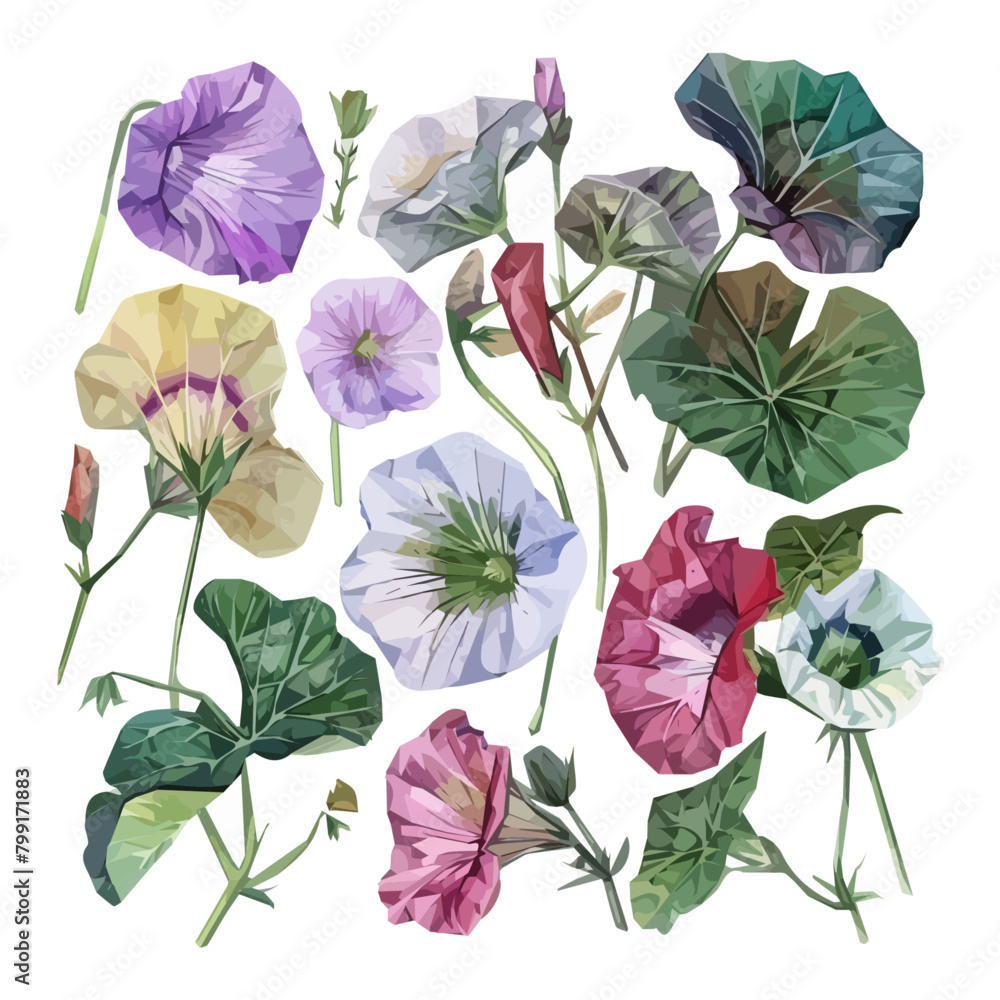 Watercolor vector of Okra flower (Abelmoschus esculentus), isolated on ...