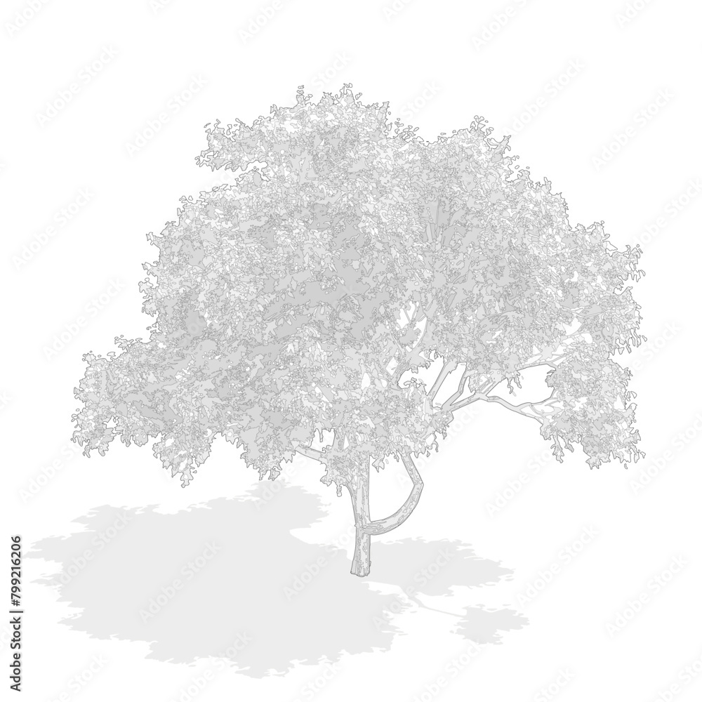 Axonometric tree, cad tree Stock Vector | Adobe Stock