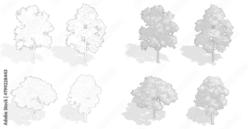 Vettoriale stock di set of isometric trees, axonometric trees | Adobe Stock Vettoriale stock di set of isometric trees, axonometric trees | Adobe Stock