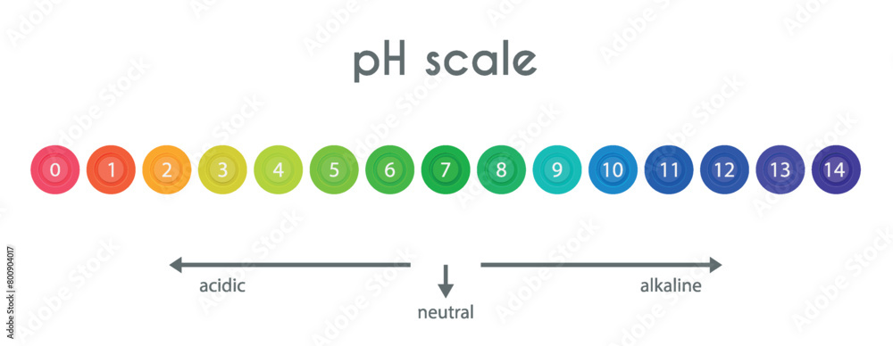 pH value scale chart for acid-alkaline solution. Acid-base balance ...