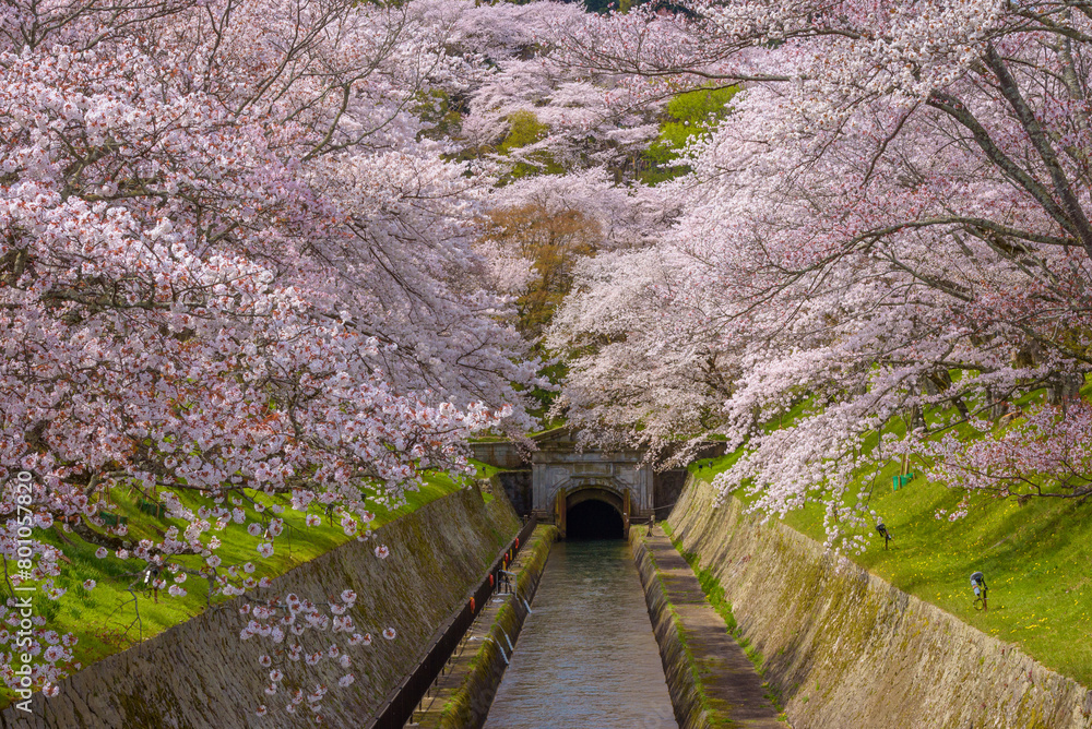 The Lake Biwa Canal in Otsu, Shiga Prefecture, Japan. The canal ...