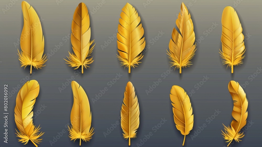 Modern realistic set of golden yellow fluffy feathers isolated on ...
