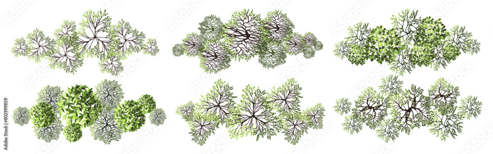 Tree for architectural floor plans. Entourage design. Various trees, bushes, and shrubs, top ...