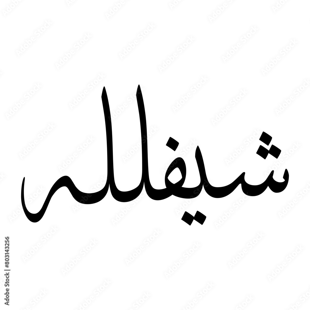 Shifaullah Muslim Boy Name Sulus Font Arabic Calligraphy Stock Vector ...