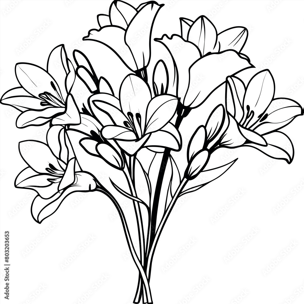 Freesia Flower Bouquet outline illustration coloring book page design ...