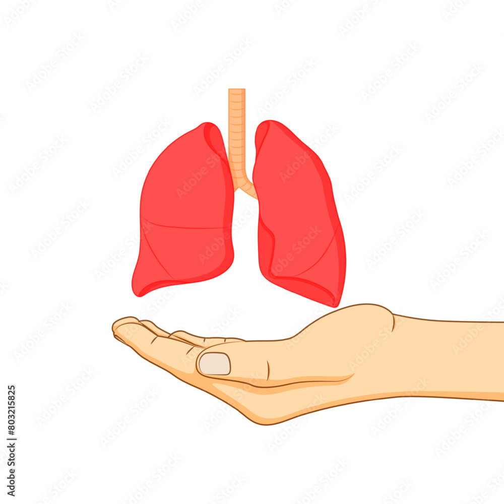 Vector illustration of hands holding Lungs on transparent background ...