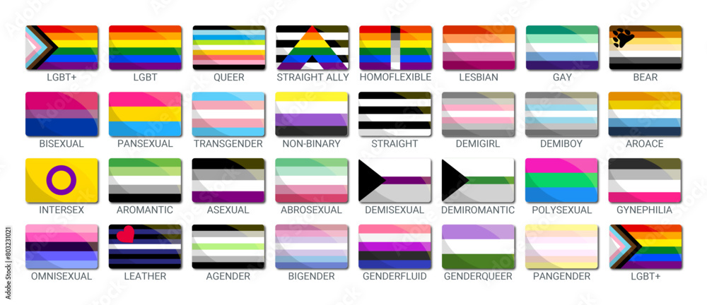 LGBT sexual identity pride flags gender collection. Flag of gay ...