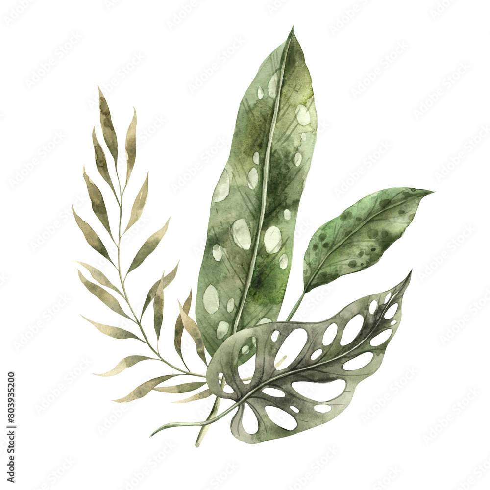 Monstera, banana leaves and plant. Tropical watercolor composition on ...