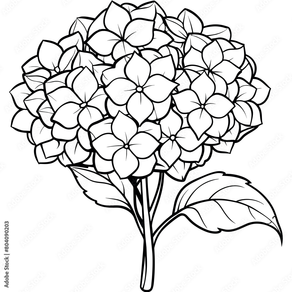 Hydrangea Flower Bouquet outline illustration coloring book page design ...
