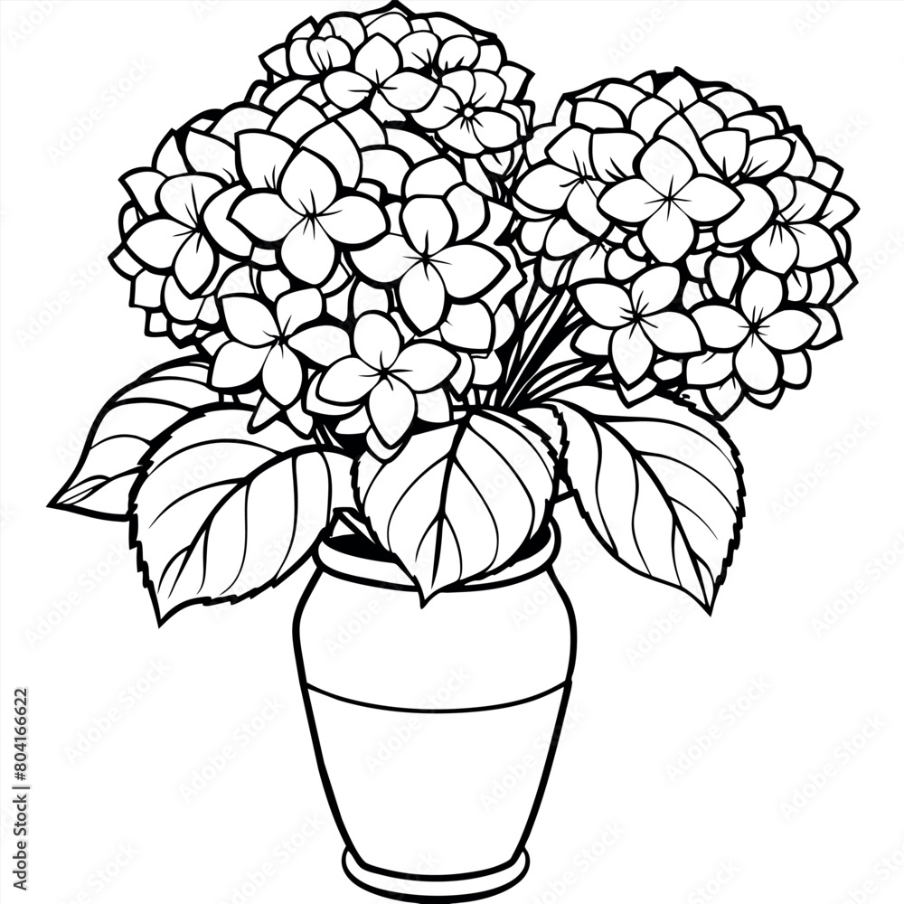 Hydrangea Flower on the vase outline illustration coloring book page ...