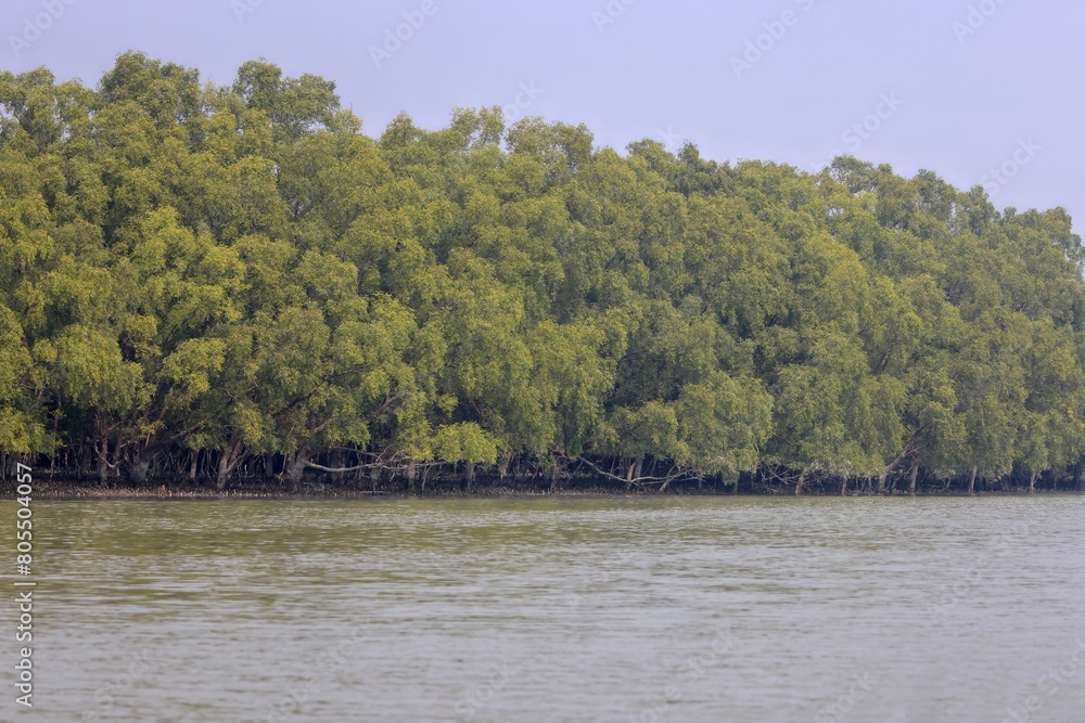 The Sundarbans mangrove forest.Sundarbans National Park is a large ...
