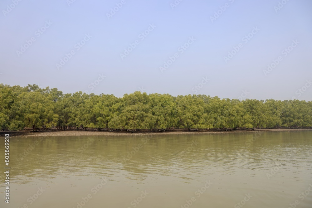 The Sundarbans mangrove forest.Sundarbans National Park is a large ...