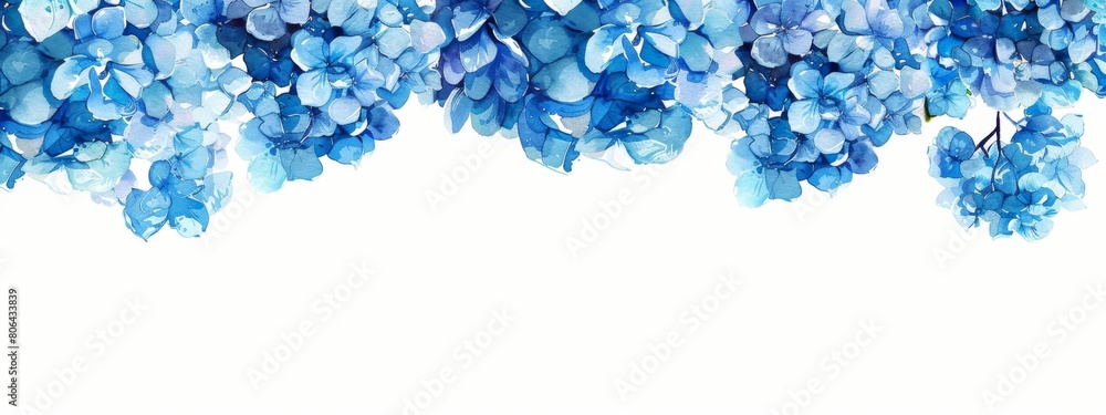 watercolor blue hydrangea border frame, sky background, white space in ...