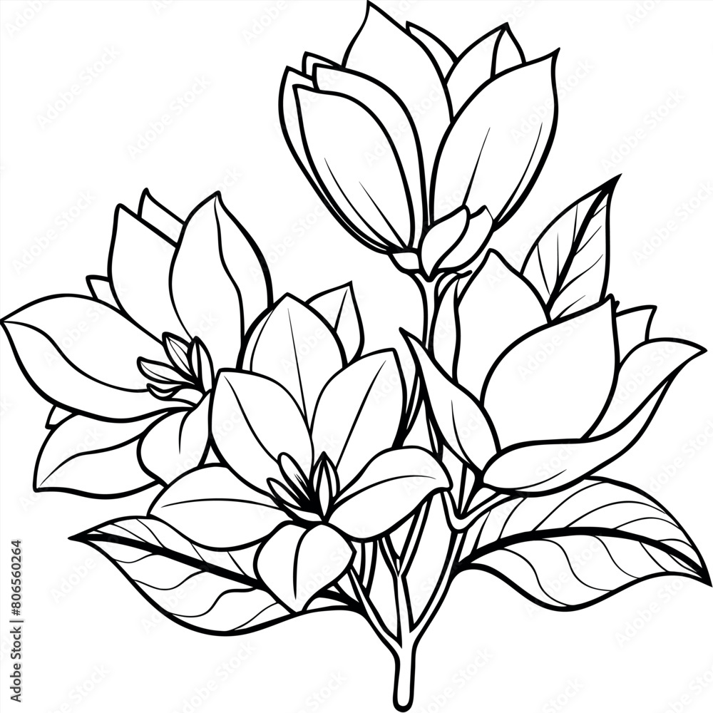 Magnolia Flower outline illustration coloring book page design ...