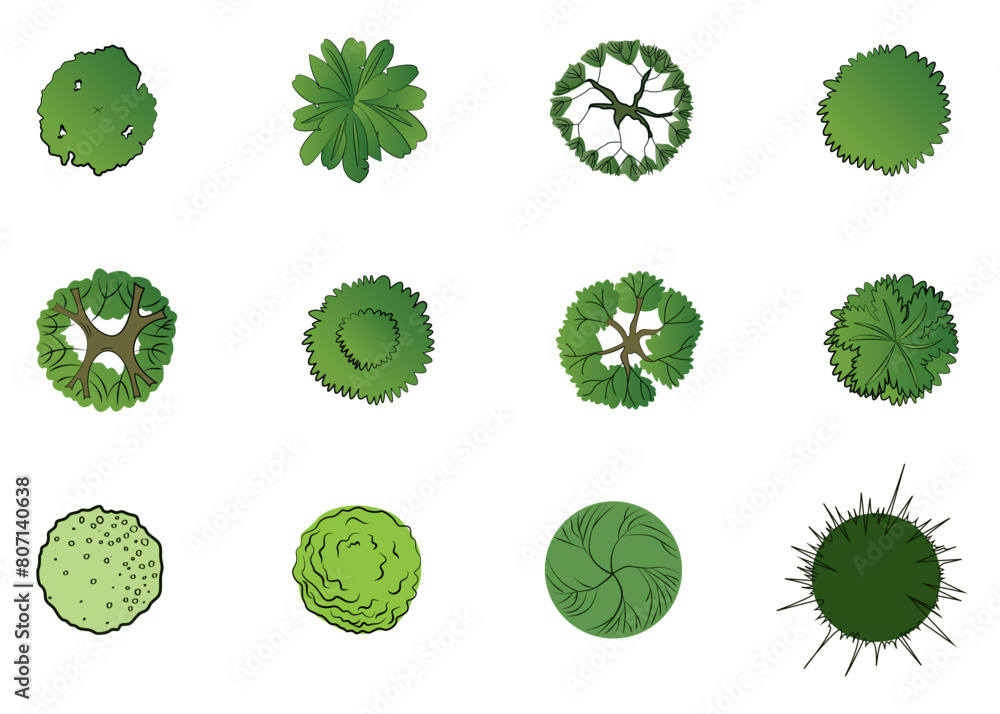 Various green trees, bushes and shrubs, top view for landscape design ...