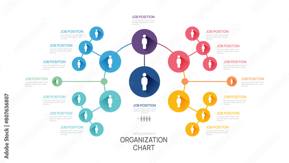 Infographic template for organization chart with business avatar icons ...