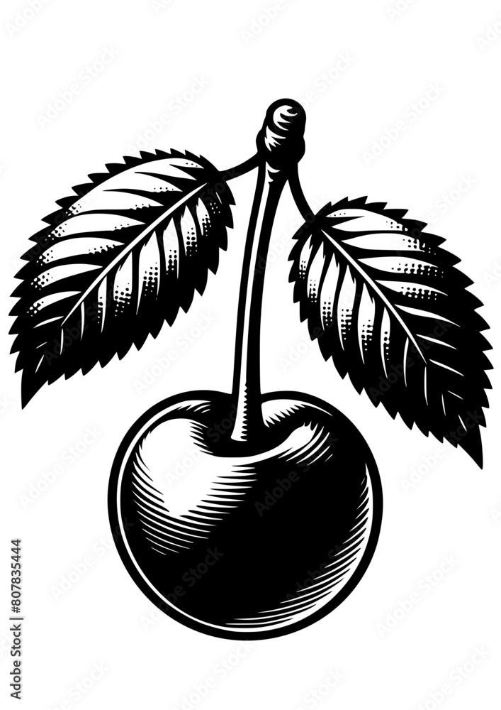 Image vectorielle Stock Cherry SVG, Cherry PNG, Cherry Silhouette ...