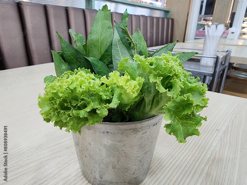 Green Coral lettuce, Culantro, Saw-leaf Herb, Thorny Coriander (the ...