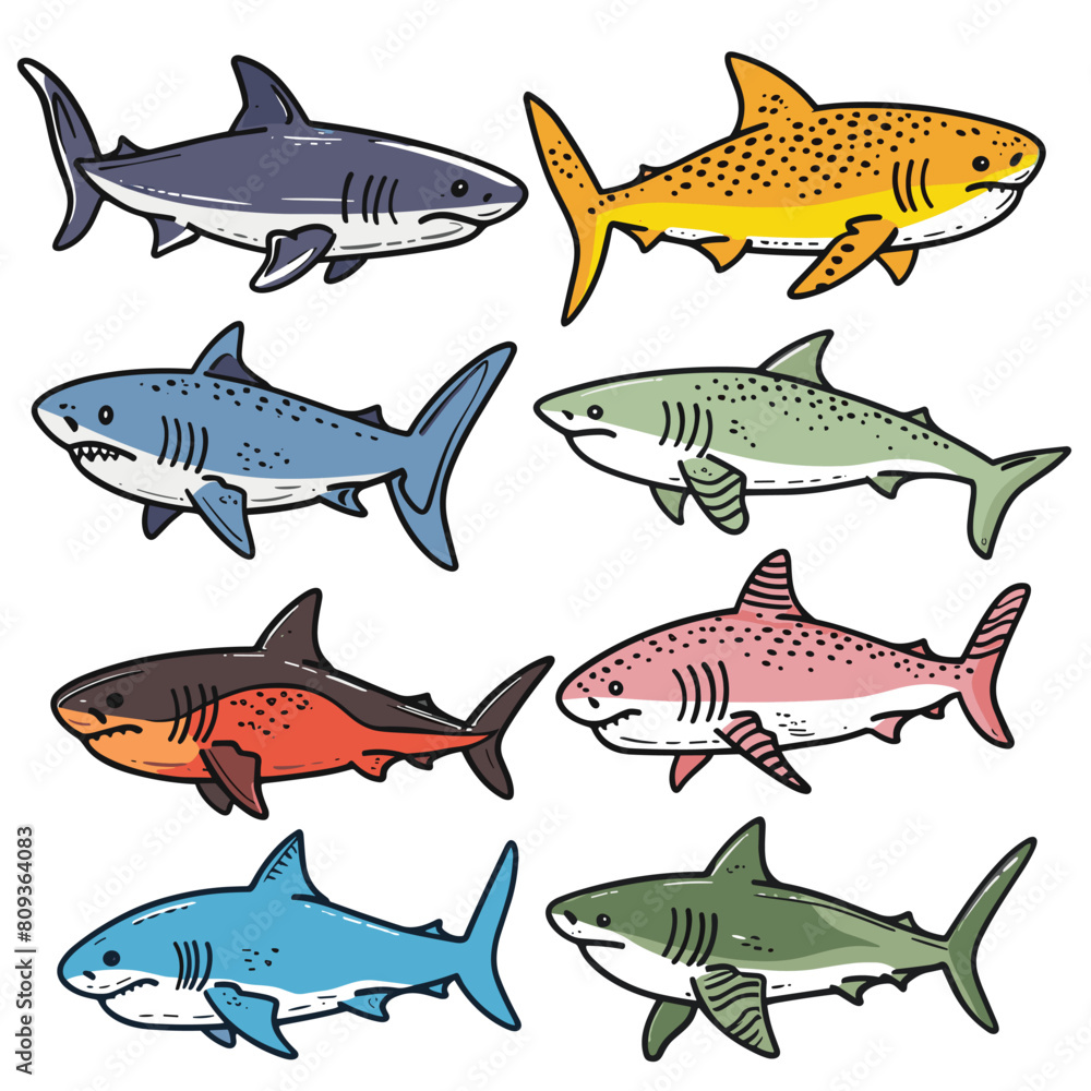 Collection colorful sharks, various species illustrations. Different ...