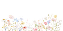 Flower, Background, Floral, Border, Free Stock Photo - Public Domain ...
