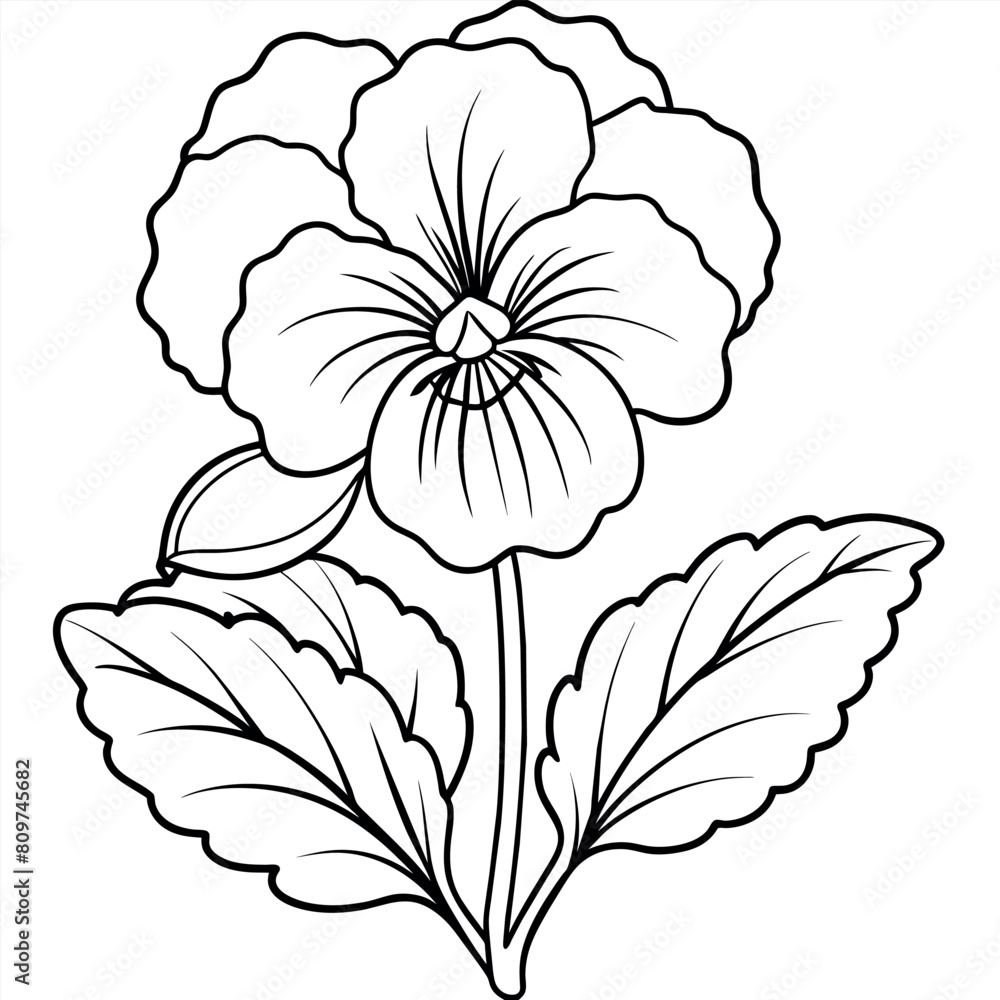 Pansy flower outline illustration coloring book page design, Pansy ...