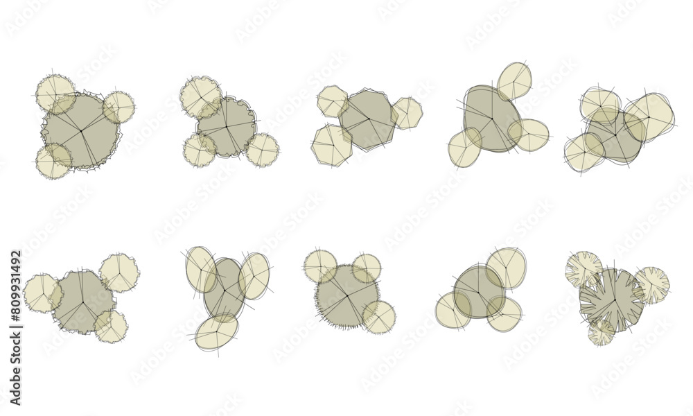 tree top view plant landscape architecture nature garden aerial vector ...