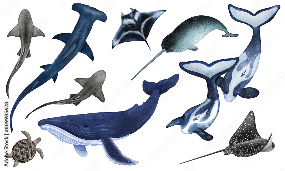 Underwater creatures on an isolated background. Watercolor illustration ...