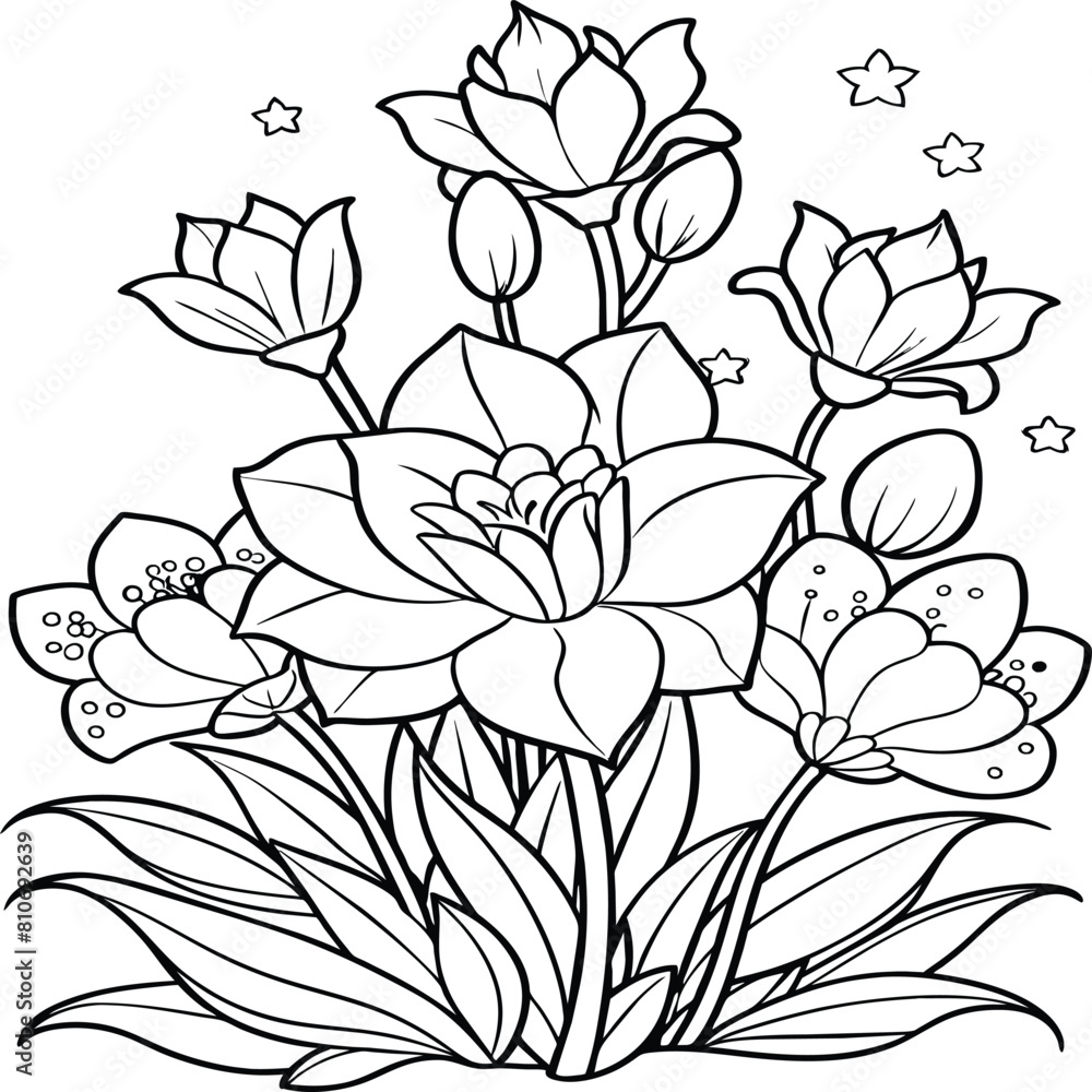 Freesia Flower Coloring Page. Flowers outline for coloring book ...