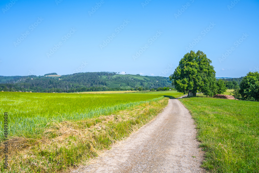 This image captures a tranquil scene of a gravel pathway meandering ...