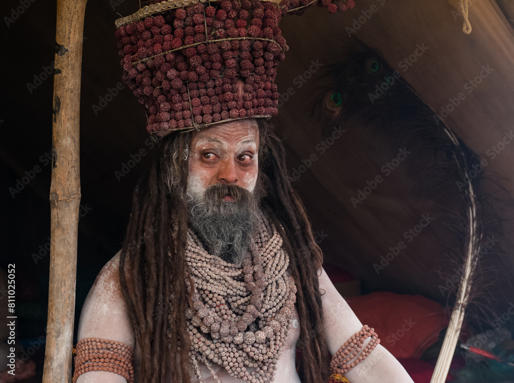 Portrait of an holy male naga sadhu baba with ash on his and long hairs ...