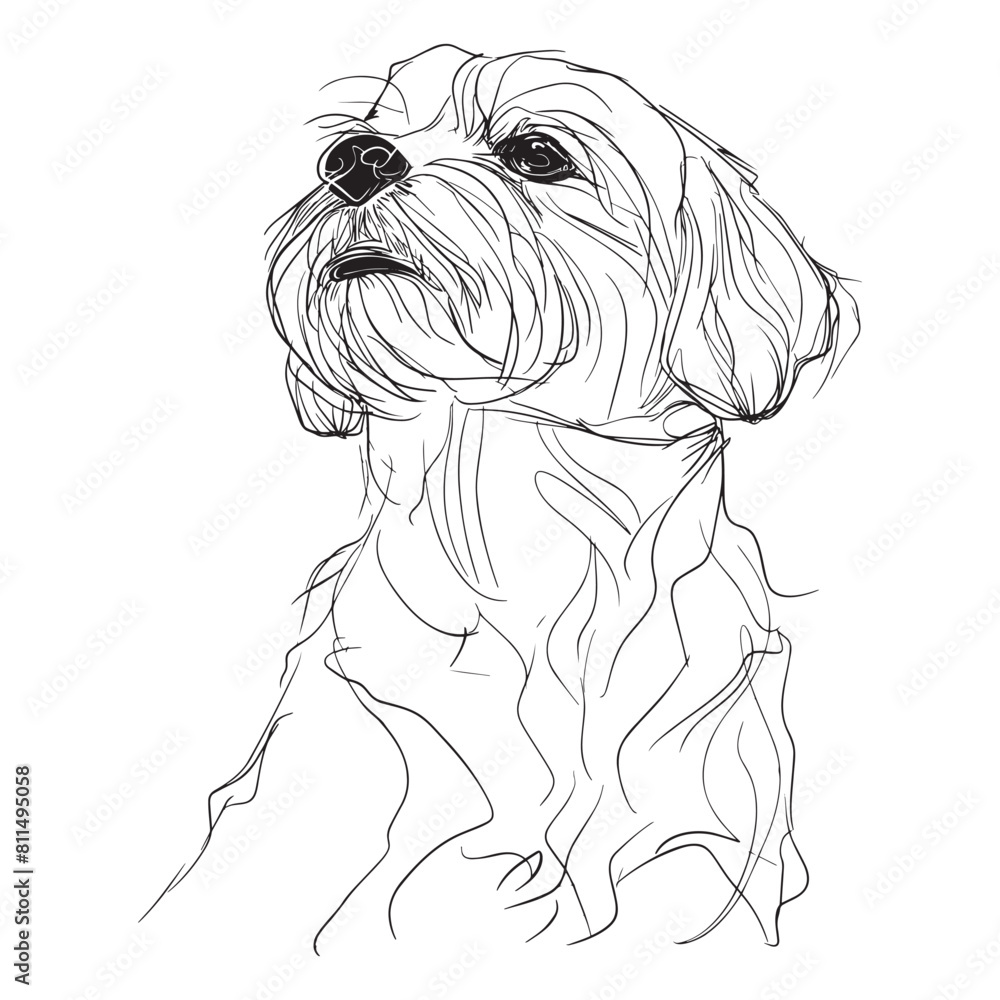 Abstract line drawing series of dog. Isolated one line art style of a ...
