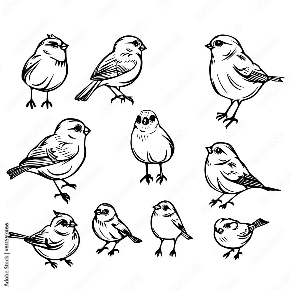 [BAE] å_Bird svg, Bird svg bundle, Bird silhouette, Bird cut files ...
