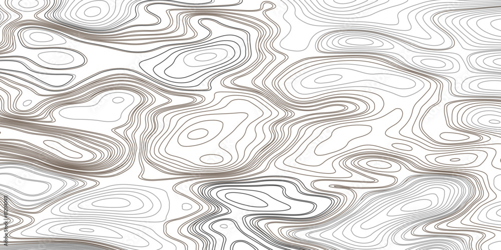 Brown on white contours vector topography stylized height of the lines ...