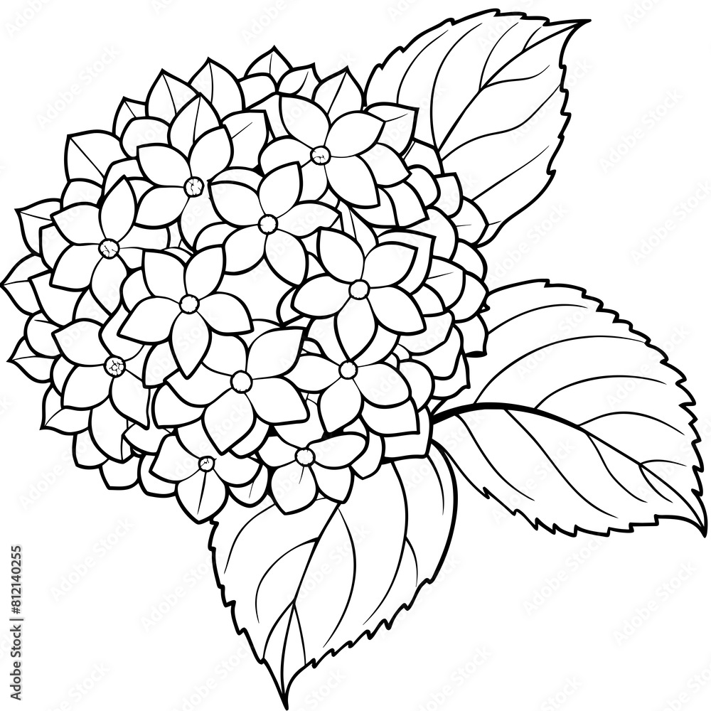 Hydrangea flower outline coloring book page line art drawing vector ...