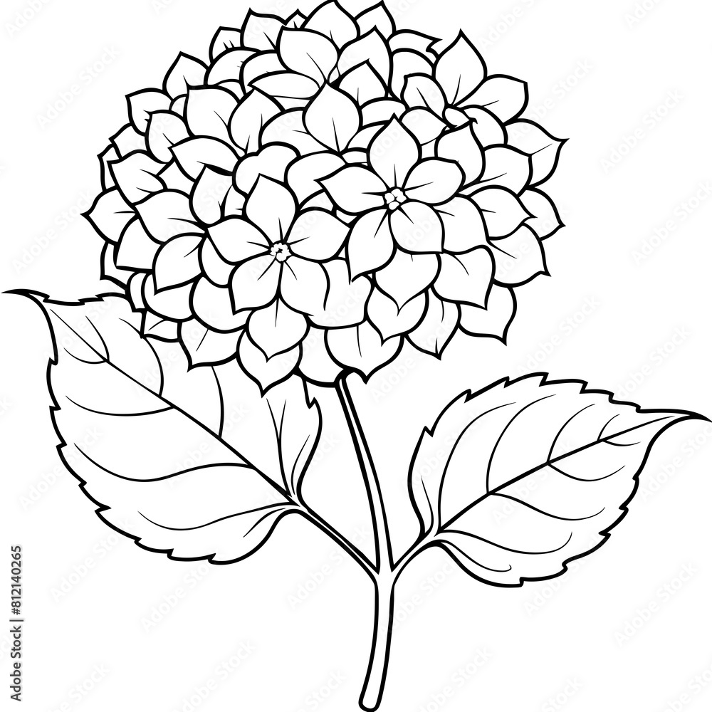 Hydrangea flower outline coloring book page line art drawing vector ...