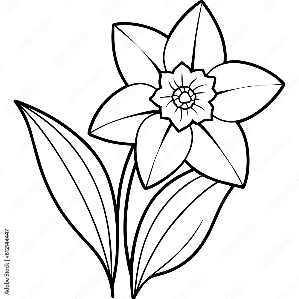 Daffodil flower outline coloring book page line art drawing vector ...