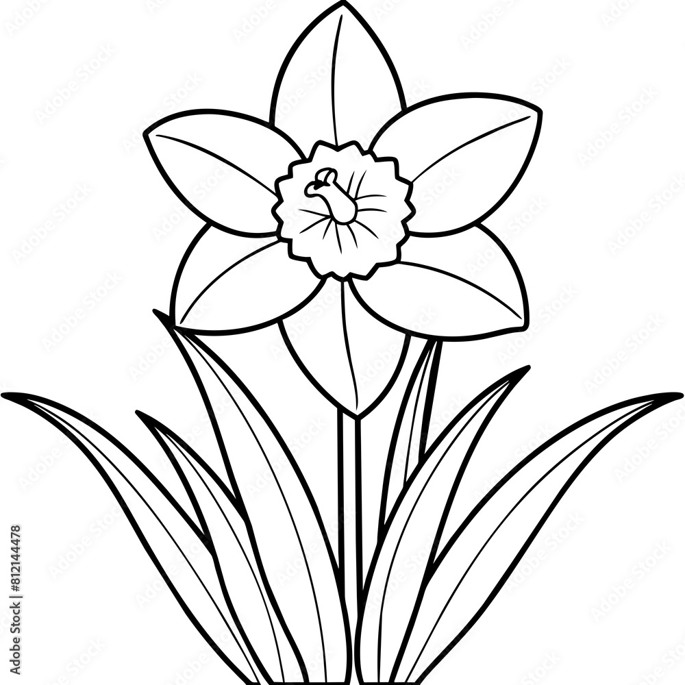Daffodil flower outline coloring book page line art drawing vector ...