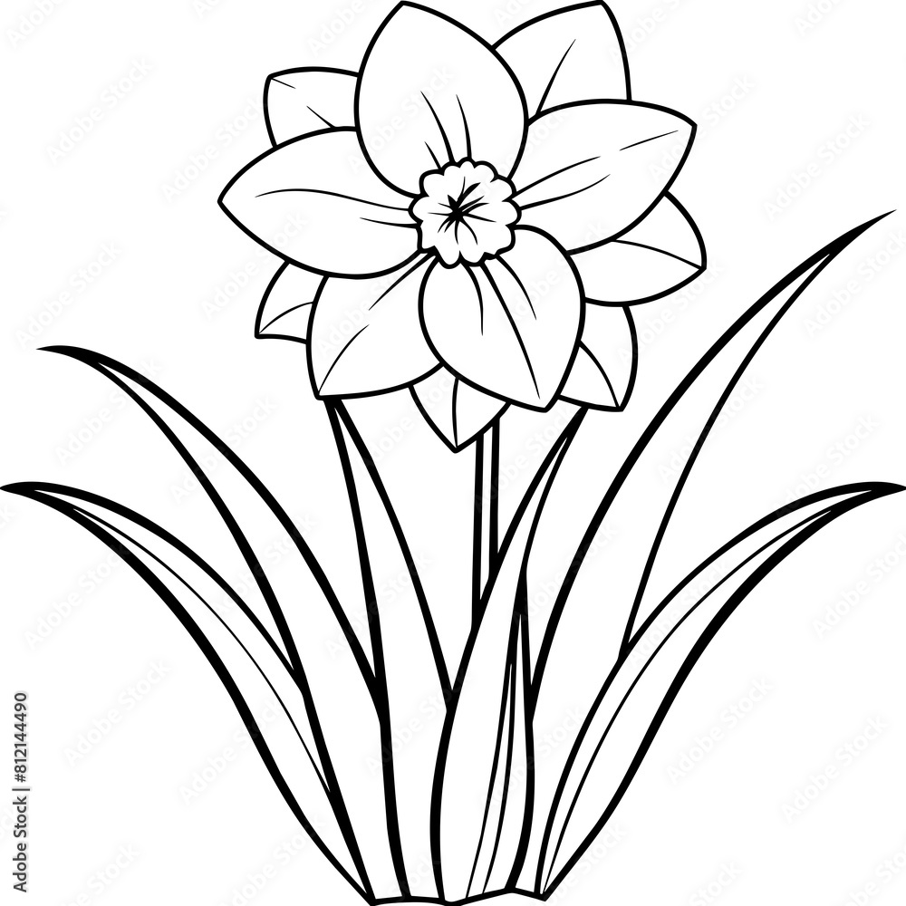 Daffodil flower outline coloring book page line art drawing vector ...