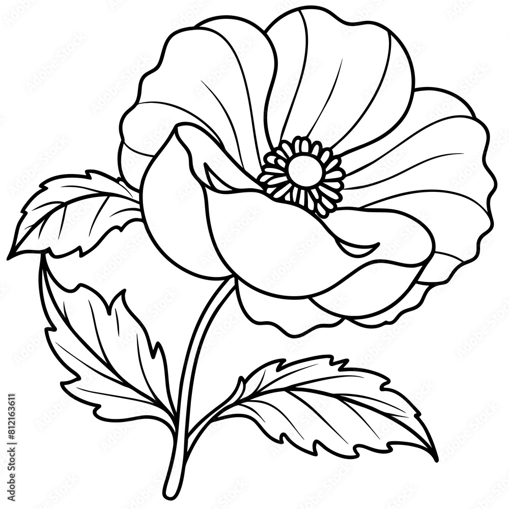Poppy flower outline coloring book page line art drawing vector ...