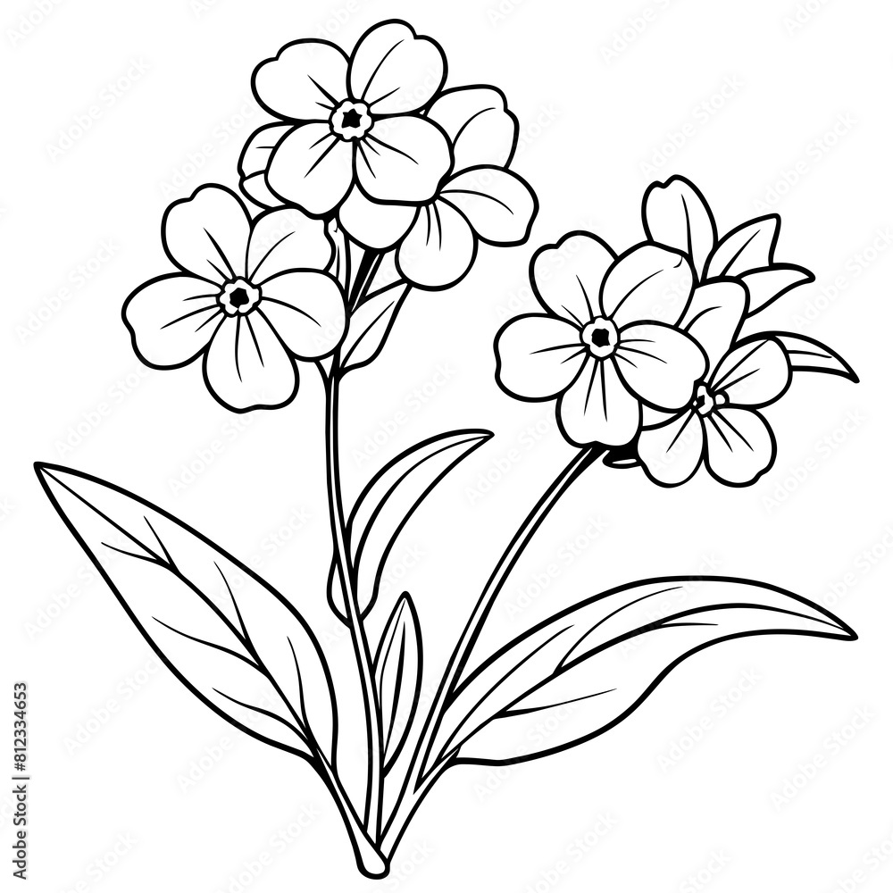 Forget Me Not flower outline coloring book page line art drawing vector ...