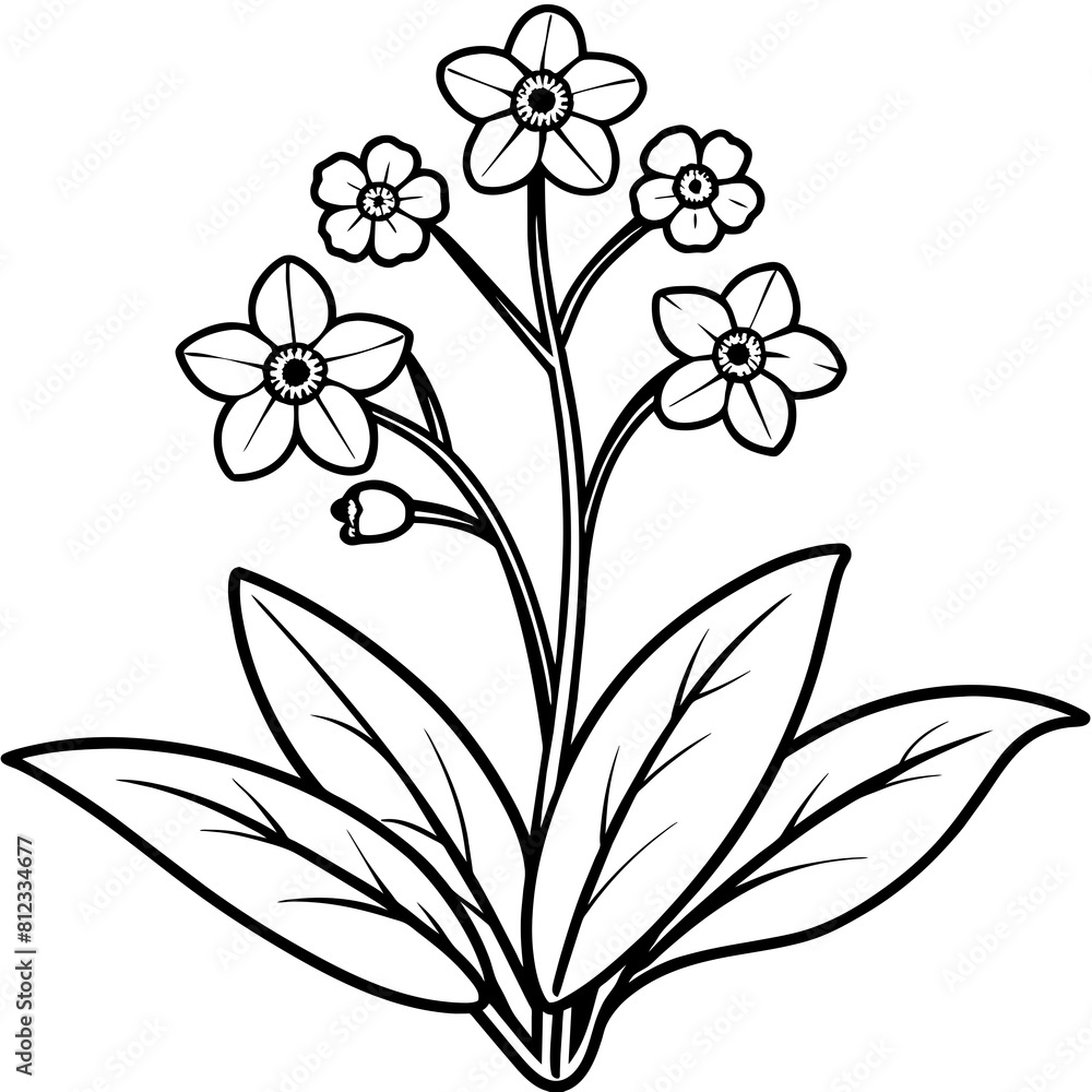 Forget Me Not flower outline coloring book page line art drawing vector ...