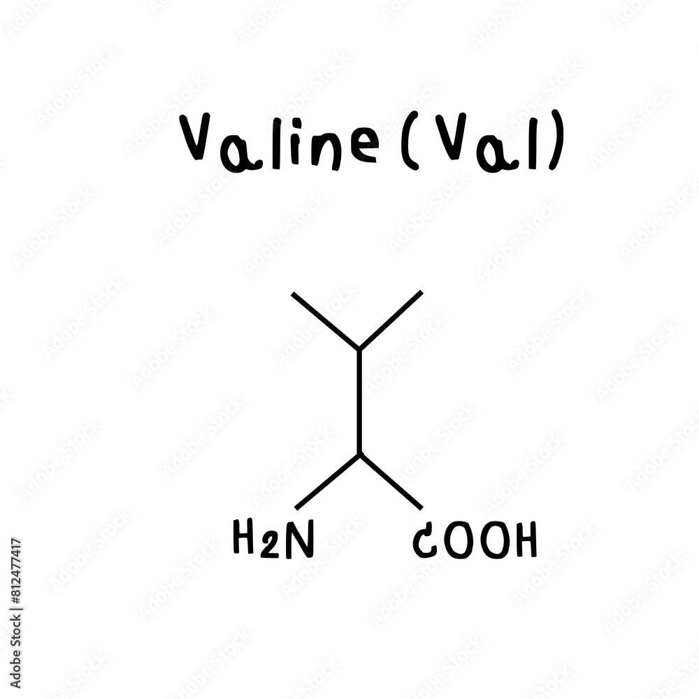 Valine chemical structure illustration Stock Illustration | Adobe Stock