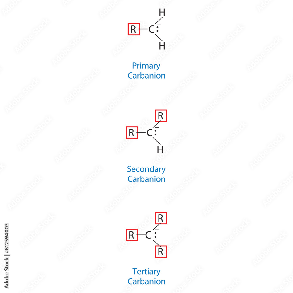Primary, Secondary and Tertiary carboanion molecule skeletal structure ...