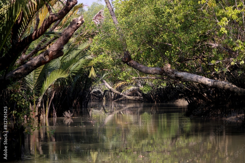 The beautiful scenery of world largest mangrove forest sundarbans.this ...