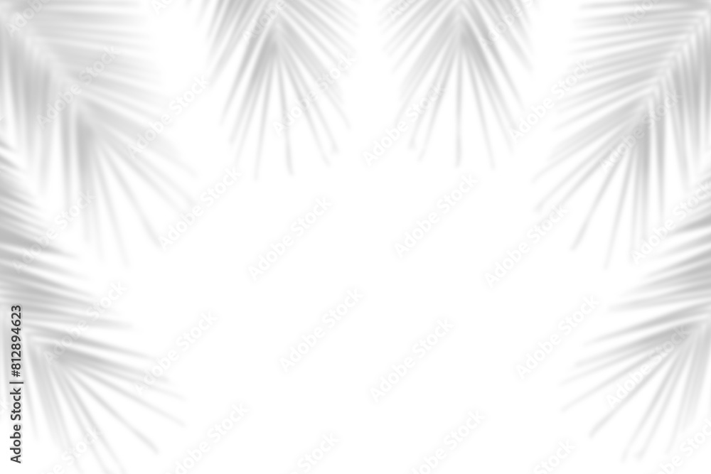 Realistic shadows of tropical leaves of a palm tree on white background ...
