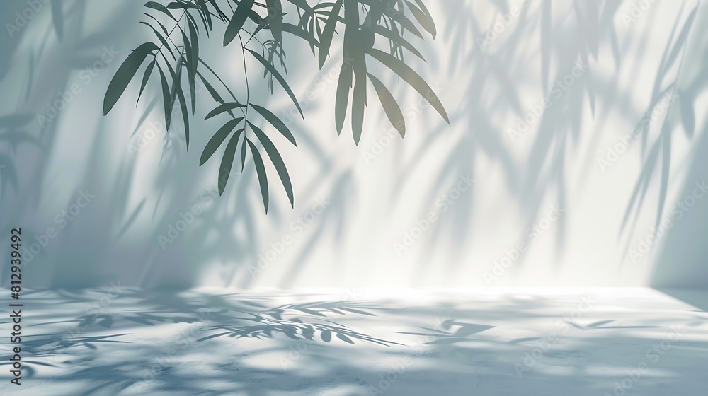 Studio backgroundconcrete with Bamboo Leaves shadow with sunlight ...
