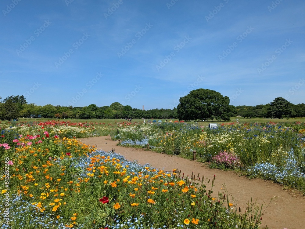 Showa Memorial Park (Showa Kinen Park), Huge park in the western ...