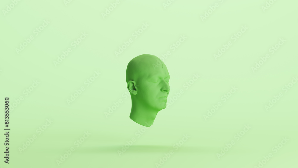 Green ecorche medical anatomy sculpture anatomical muscles head mint ...
