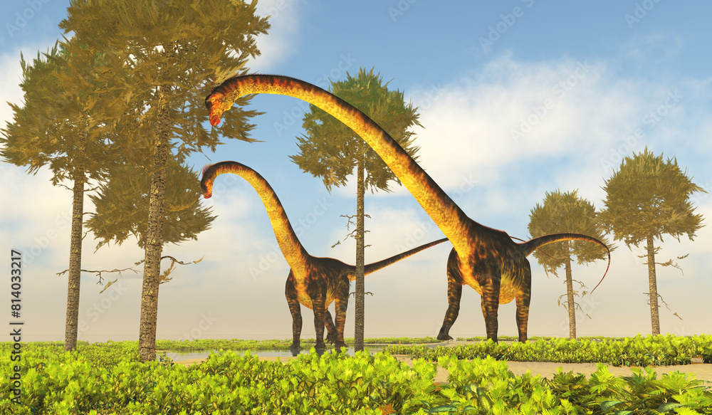 Barosaurus Dinosaurs Eating Foliage - Barosaurus dinosaurs munch on ...