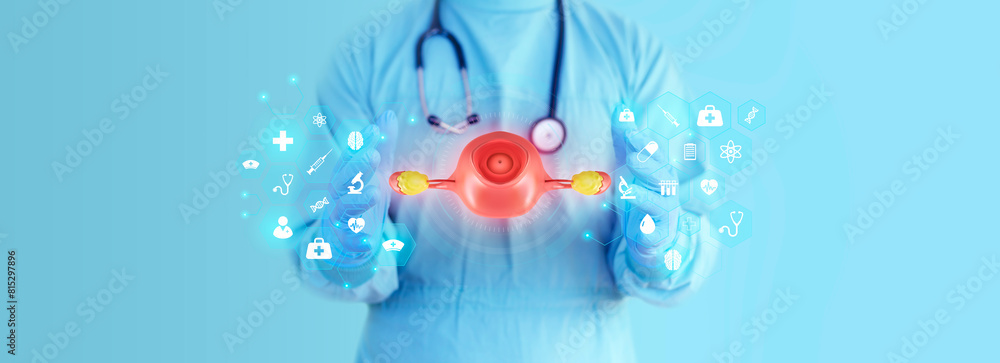 Reproductive system. Interior of the cervix in good health. Female ...